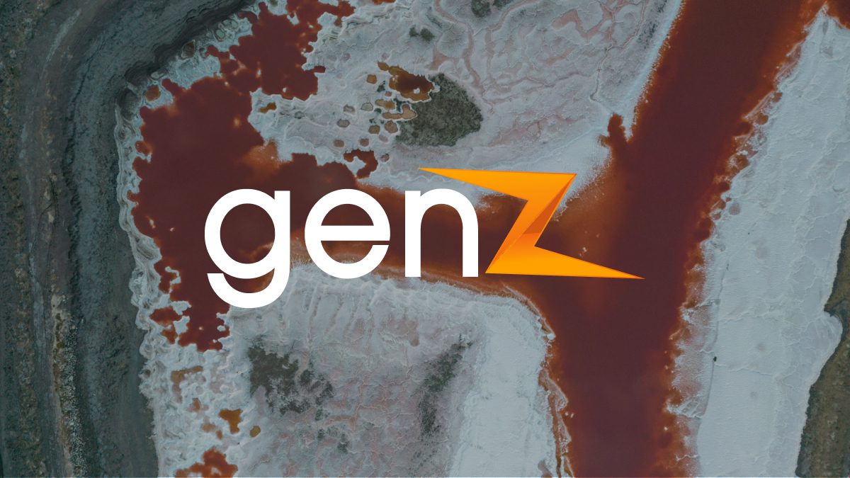 Scalable Energy Storage Solutions · genZ